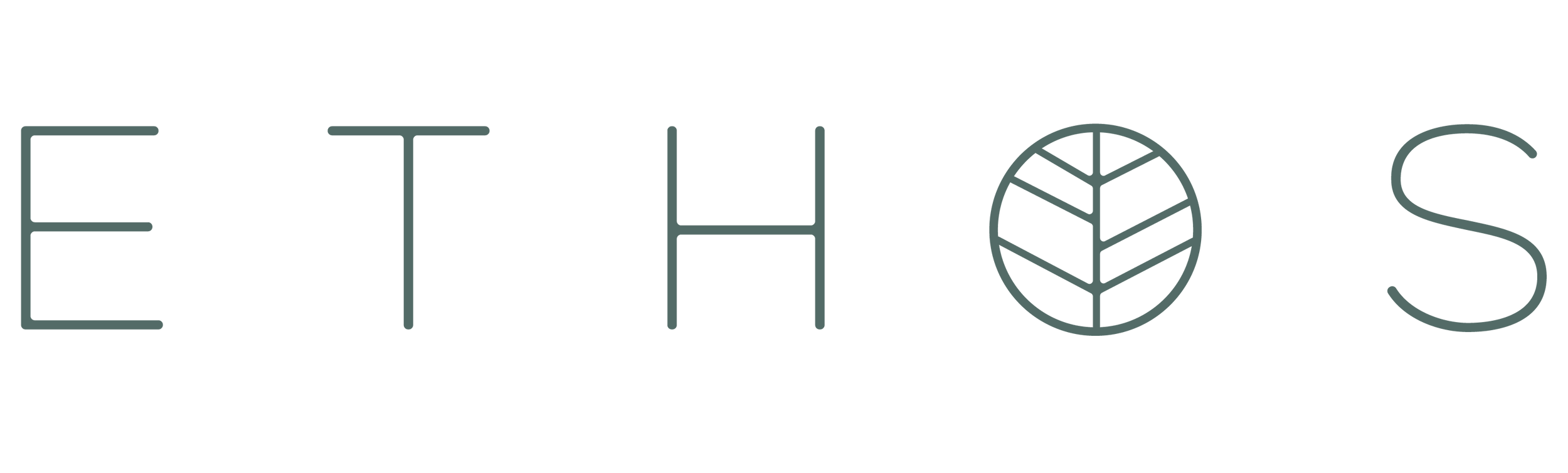 Ethos Store